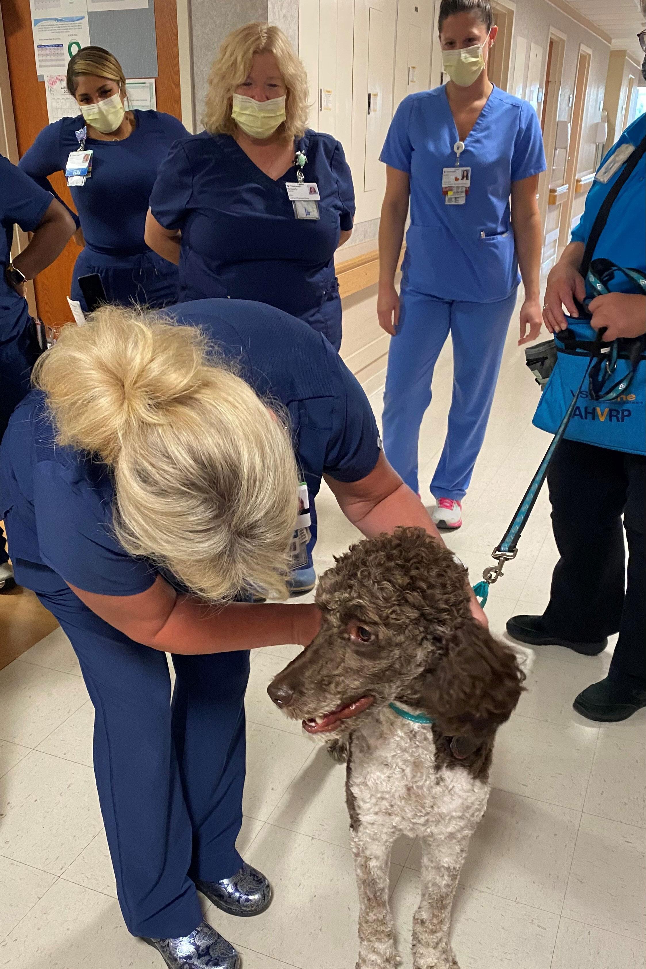 HealthFocus Fall 2023 | TidalHealth